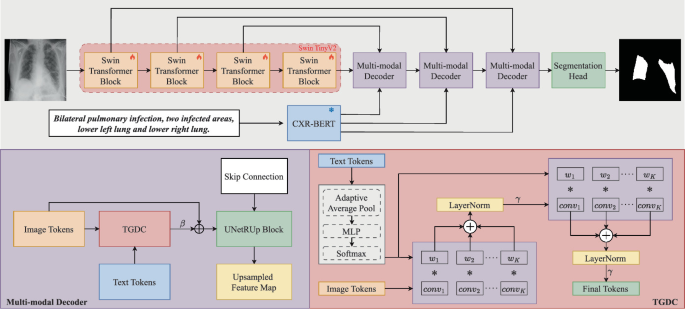 ViTexNet: Vision-Text Guided Dynamic Convolution Network for Medical ...