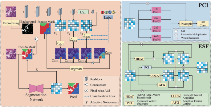 Edge-Semantic Synergy Fusion and Adaptive Noise-Aware for Weakly ...