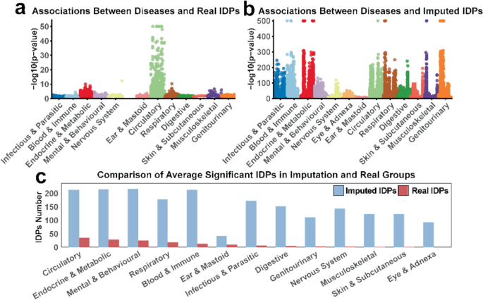Multimodal Imputation of Imaging-Derived Phenotypes from Genomic and ...