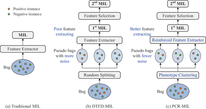 PCR-MIL: Phenotype Clustering Reinforced Multiple Instance Learning for ...