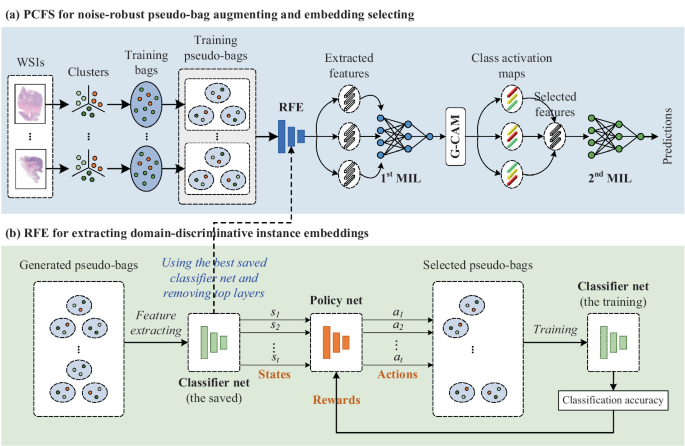 PCR-MIL: Phenotype Clustering Reinforced Multiple Instance Learning for Whole Slide Image ...
