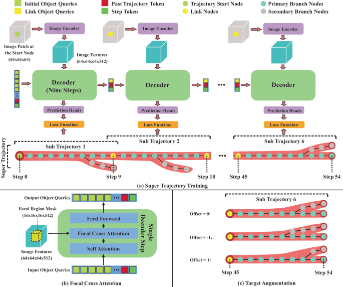 Trexplorer Super: Topologically Correct Centerline Tree Tracking of ...