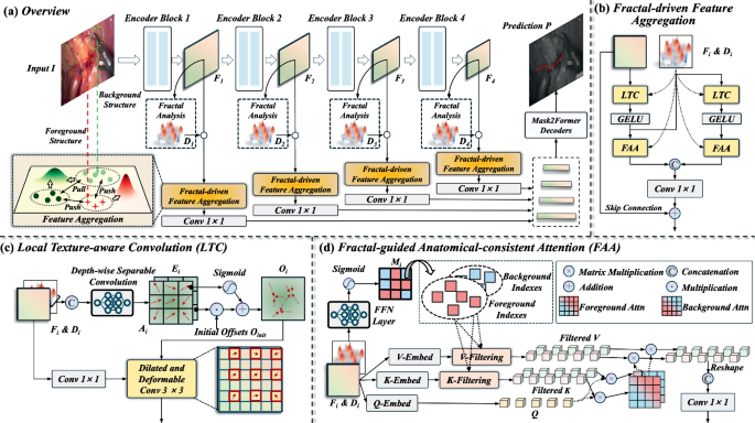 FSA-Net: Fractal-Driven Synergistic Anatomy-Aware Network for ...