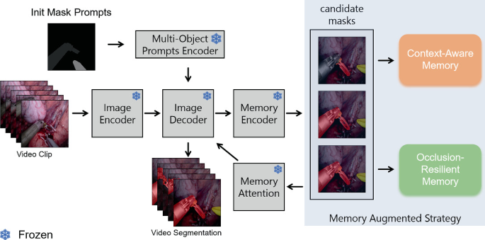 Memory-Augmented SAM2 for Training-Free Surgical Video Segmentation ...
