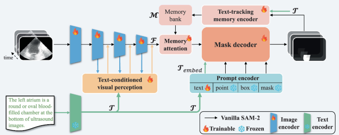 TGSAM-2: Text-Guided Medical Image Segmentation Using Segment Anything ...