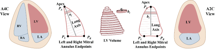 Think as Cardiac Sonographers: Marrying SAM with Left Ventricular ...