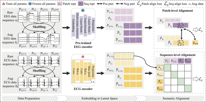 Cross-Modal Contrastive Learning for Emotion Recognition: Aligning ECG with EEG-Derived Features ...