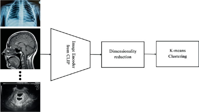 Multi-modal Contrastive Learning for Medical Image Classification and ...