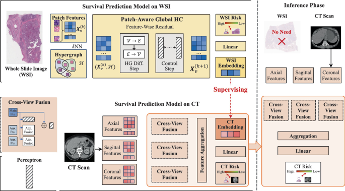 Multimodal Hypergraph Guide Learning for Non-invasive CcRCC Survival Prediction | SpringerLink