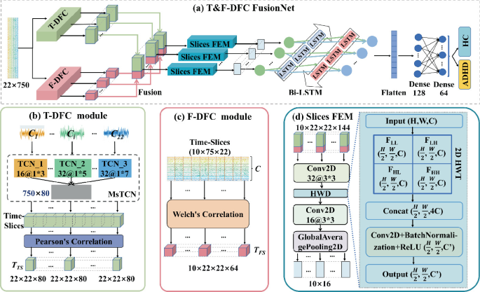 T&F-DFC FusionNet: Time&Frequency-Dynamic Functional Connectivity ...