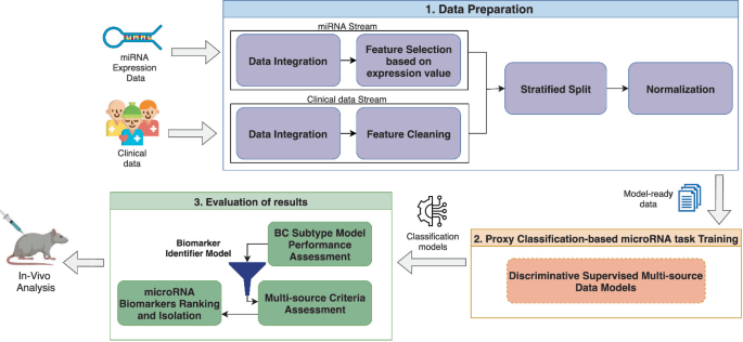 Unveiling MicroRNA Biomarkers for Breast Cancer Sub-typing Using ...