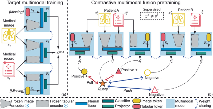 Learning Contrastive Multimodal Fusion with Improved Modality Dropout ...