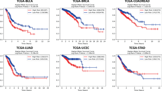 MurreNet: Modeling Holistic Multimodal Interactions Between ...