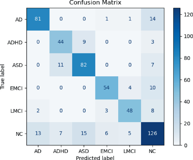 Neuro-AMS: Neuro-Informed Age-Aware and Medical Knowledge-Integrated ...