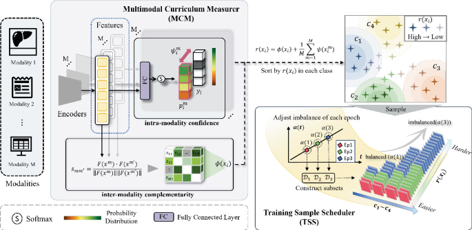 CLIMD: A Curriculum Learning Framework for Imbalanced Multimodal ...