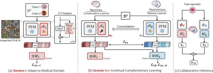 Conservative-Radical Complementary Learning for Class-Incremental ...