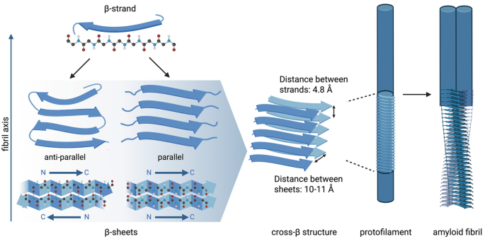 The Many Lives of a Single Sequence: Functional Plasticity Through ...