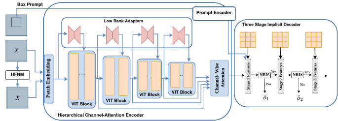 Improving Medical Image Segmentation with Implicit Representation and Noisy Label Robustness ...