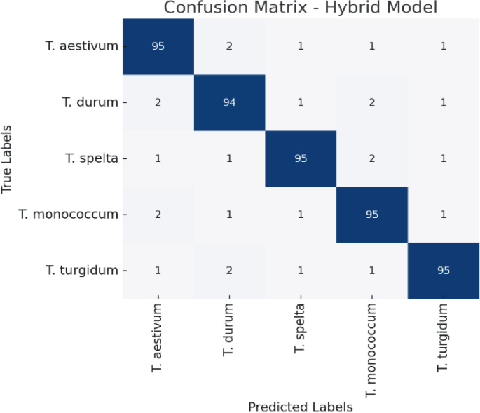 Automated Wheat Species Categorization Using Color and Texture Features ...