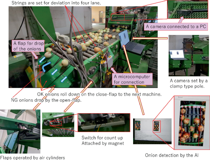 Development of an Onion Sorting Machine with a Detachable Mechanism ...