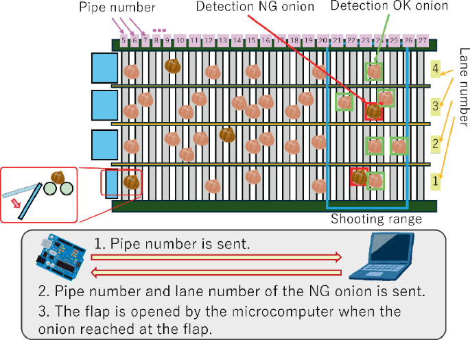 Development of an Onion Sorting Machine with a Detachable Mechanism ...