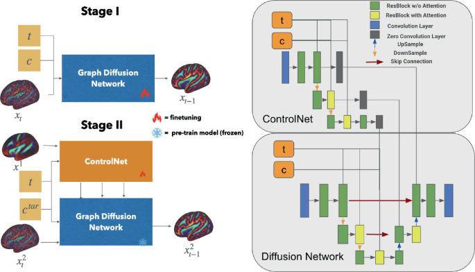 Controllable Surface Diffusion Generative Model for Neurodevelopmental ...