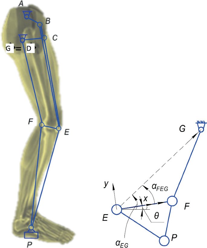 A Rehabilitation Leg Exoskeleton with Real-Time Deep Learning Based ...