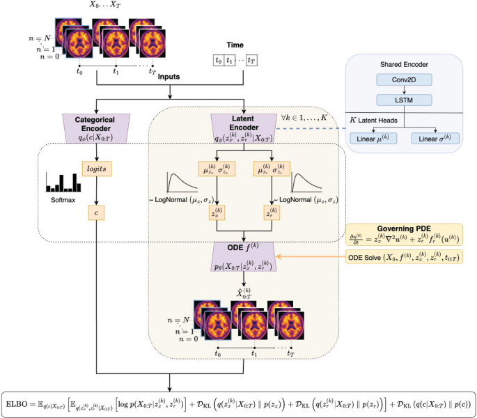 Learning Mechanistic Subtypes of Neurodegeneration with a Physics ...
