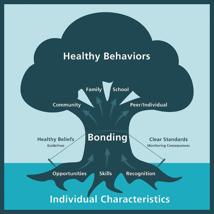 Using the Social Development Strategy to Promote Positive Youth ...