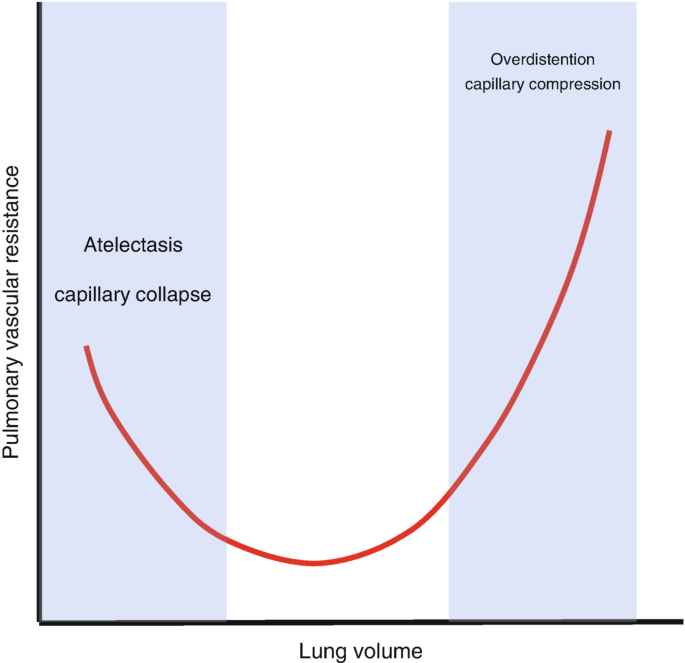 Perfusion | SpringerLink