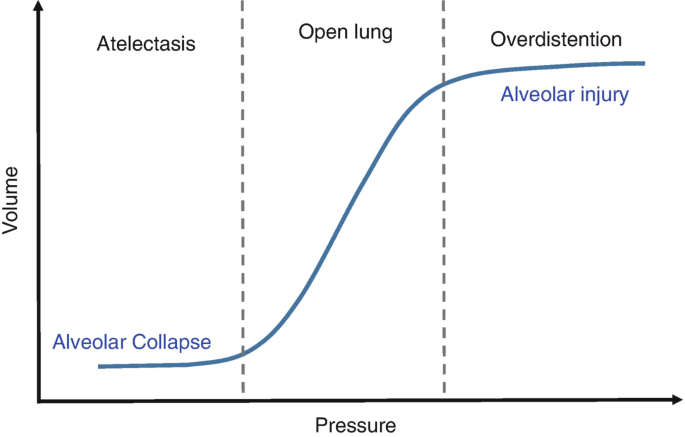Mechanics of Breathing | SpringerLink