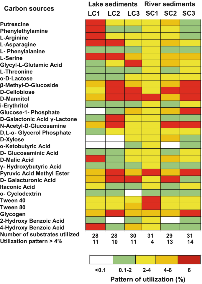 Metabolic Function and Carbon Utilization in Microbial Communities of ...