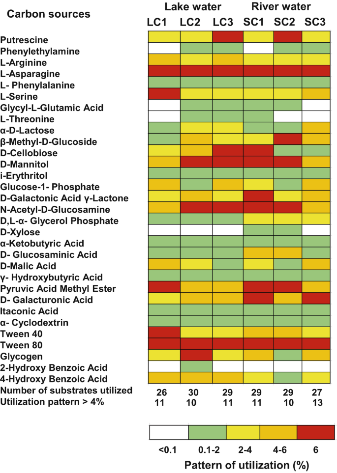 Metabolic Function and Carbon Utilization in Microbial Communities of ...