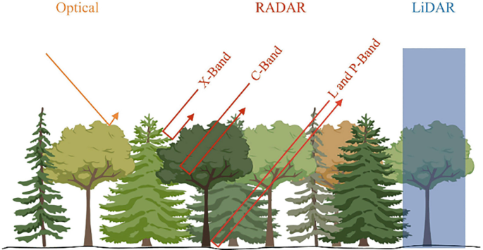 The Use of Remote Sensing Data for Above-Ground Biomass Estimation ...