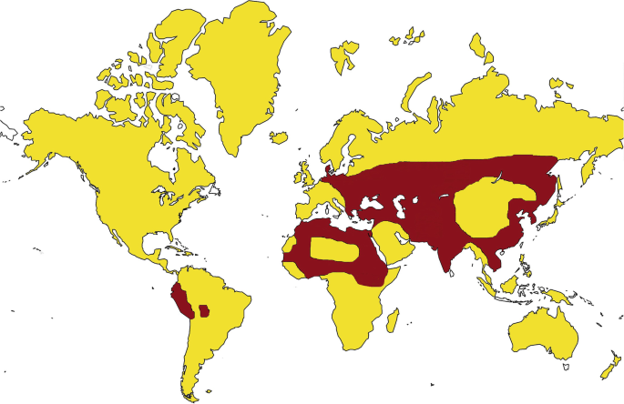 Louse-Borne Diseases | Springer Nature Link (formerly SpringerLink)