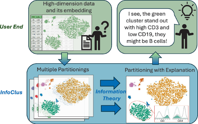 InfoClus: Informative Clustering of High-Dimensional Data Embeddings | Springer Nature Link ...