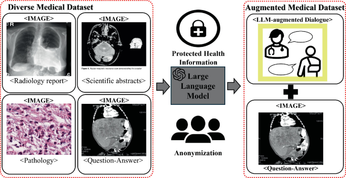 Aligning Multimodal Large Language Models with Patient-Physician ...
