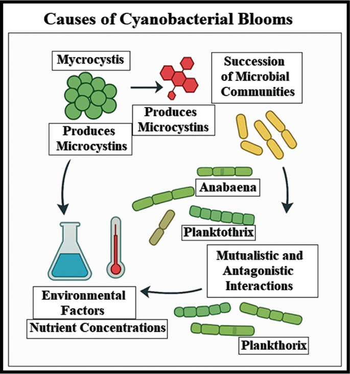 Interactions Between Cyanobacteria and Other Microbial Communities ...