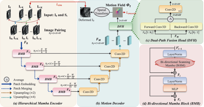 MCM: Mamba-Based Cardiac Motion Tracking Using Sequential Images in MRI ...