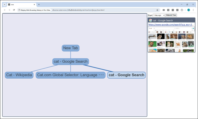 Plugin Extension for Chrome Browser to Display Web Browsing History in ...