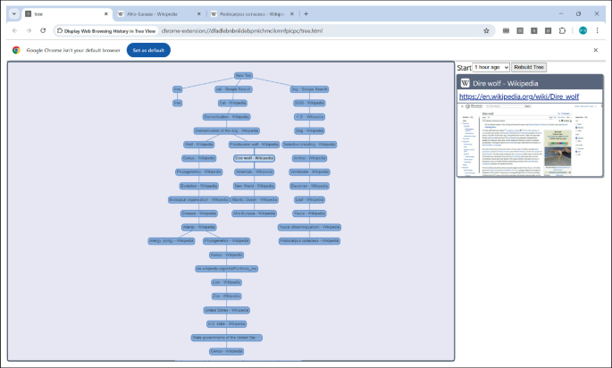Plugin Extension for Chrome Browser to Display Web Browsing History in ...