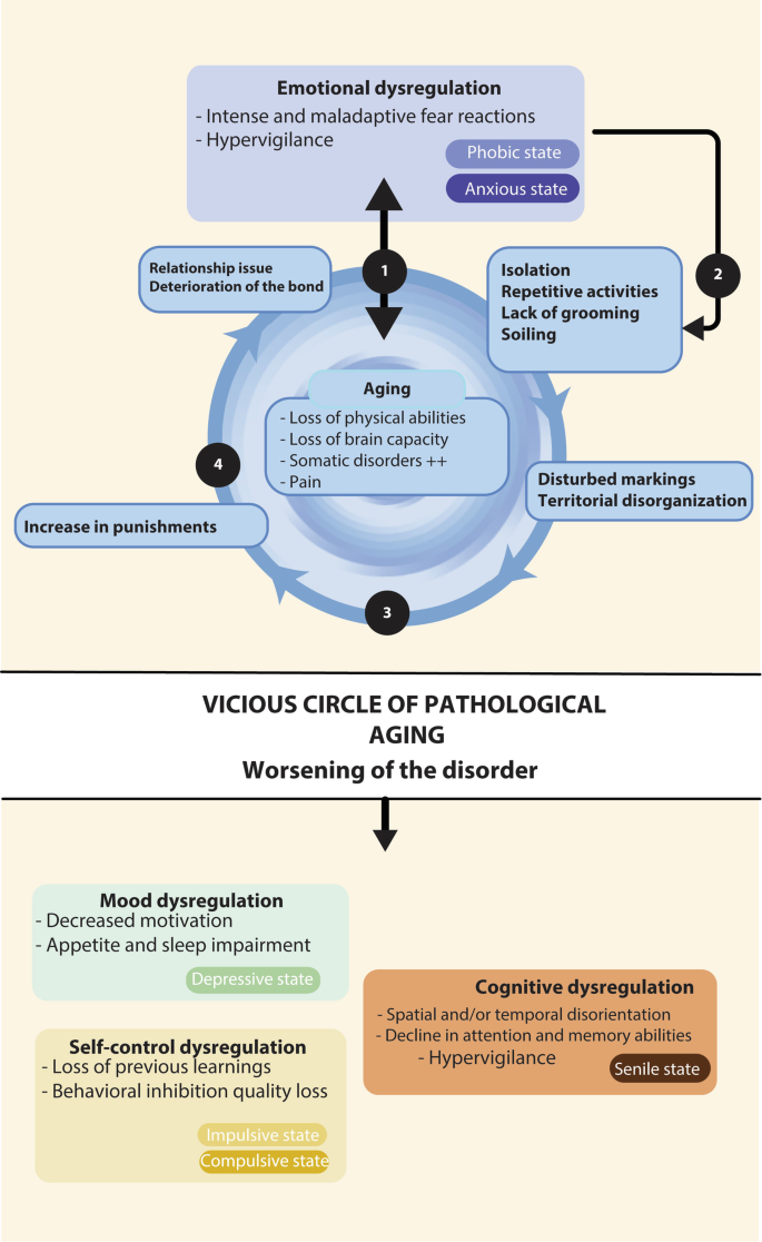 Aging Disorders | Springer Nature Link (formerly SpringerLink)