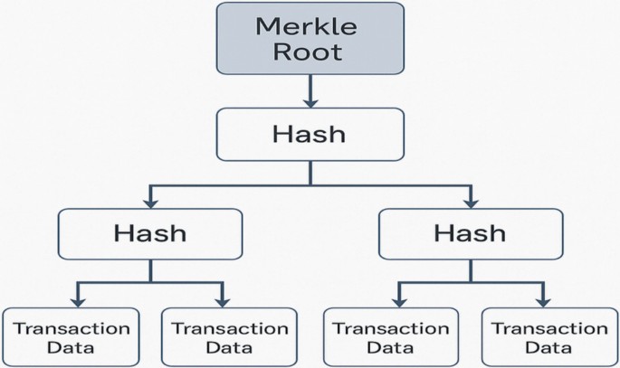 The Interplay Between Cryptography and Blockchains: A Case Study of ...