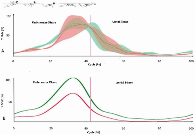Normalization Methods in EMG Analysis of the Butterfly Stroke | Springer Nature Link (formerly ...