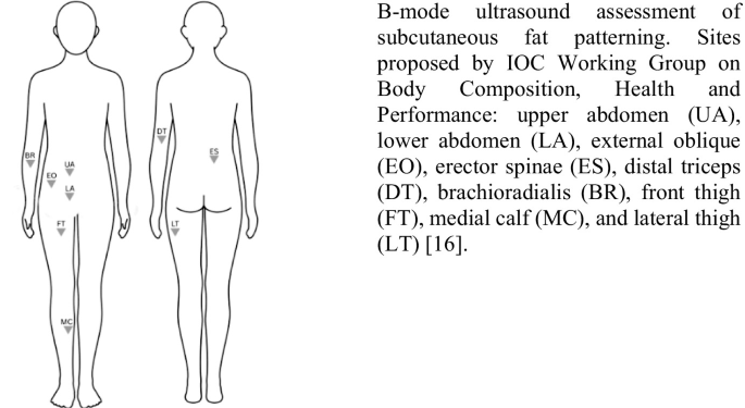 Ultrasound Assessment of Subcutaneous Adipose Tissue as a Predictor of ...