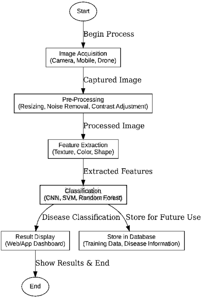 Plant Leaf Disease Detection System Using Deep Learning | Springer Nature Link