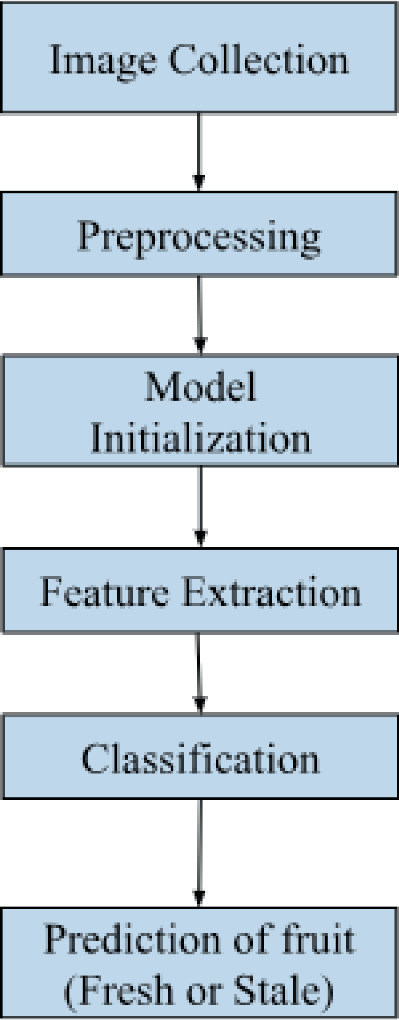 A Comparative Study of Deep Learning Models for Food Freshness Detection Using Transform ...