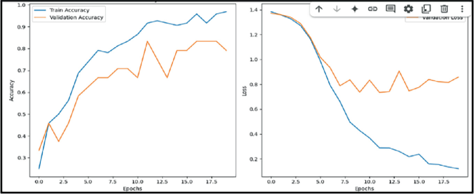 Survey on Prediction of Bipolar Disorder Using CNN and LSTM | Springer ...