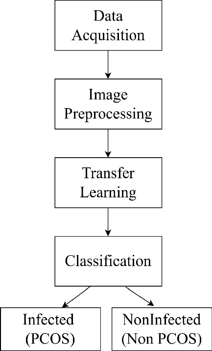 PCOS Detection in Ultrasound Images Using Transfer Learning with ...