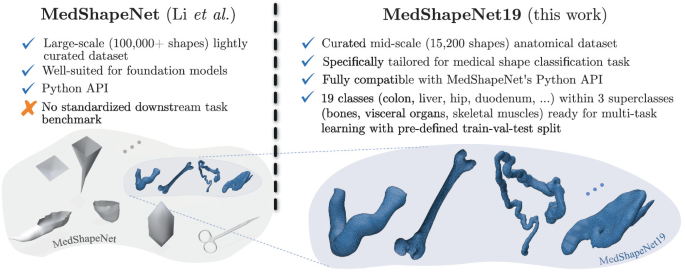 Benchmark-Ready 3D Anatomical Shape Classification | SpringerLink